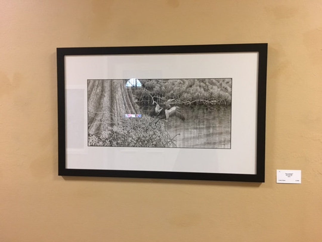 Original Anhinga Bird Drawing,everglade Art,pen Ink Drawing,tropical ...