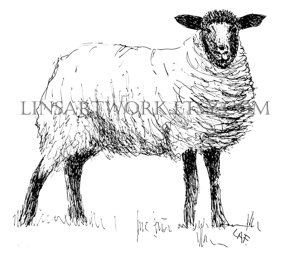 Downloadable Sheep Print , Sheep Print, Pen and Ink Digital Prints ...