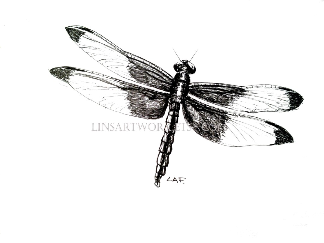 Downloadable Dragonfly Print, Dragonfly Print, Pen and Ink Drawing of a ...