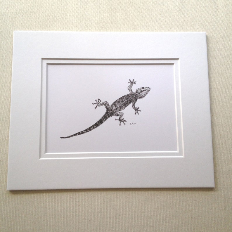 Gecko Art, Gecko Prints,original Pen and Ink Drawing gecko. Lizard ...
