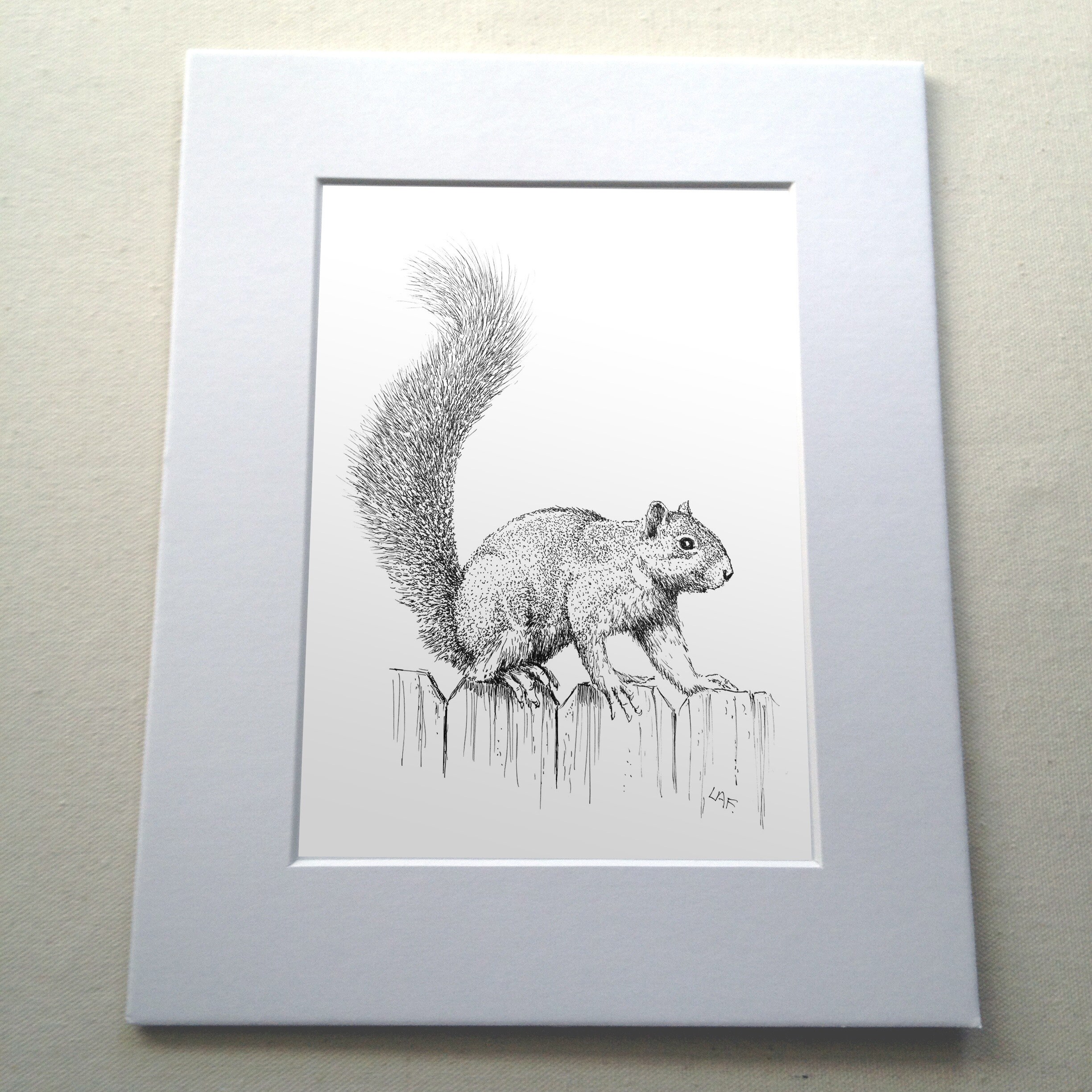 White Pen And Ink Squirrel