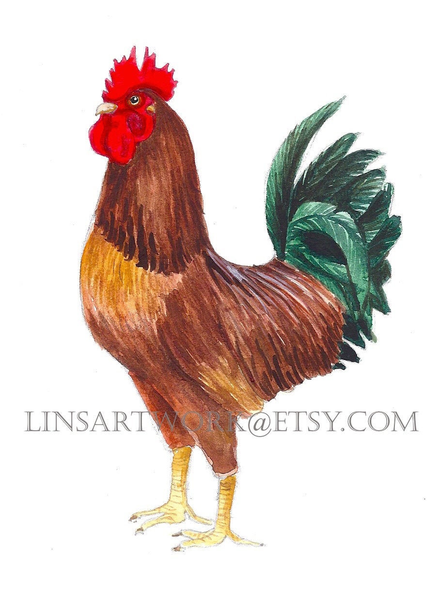 Downloadable Rhode Island Red Rooster Print , Pen and Ink Digital ...