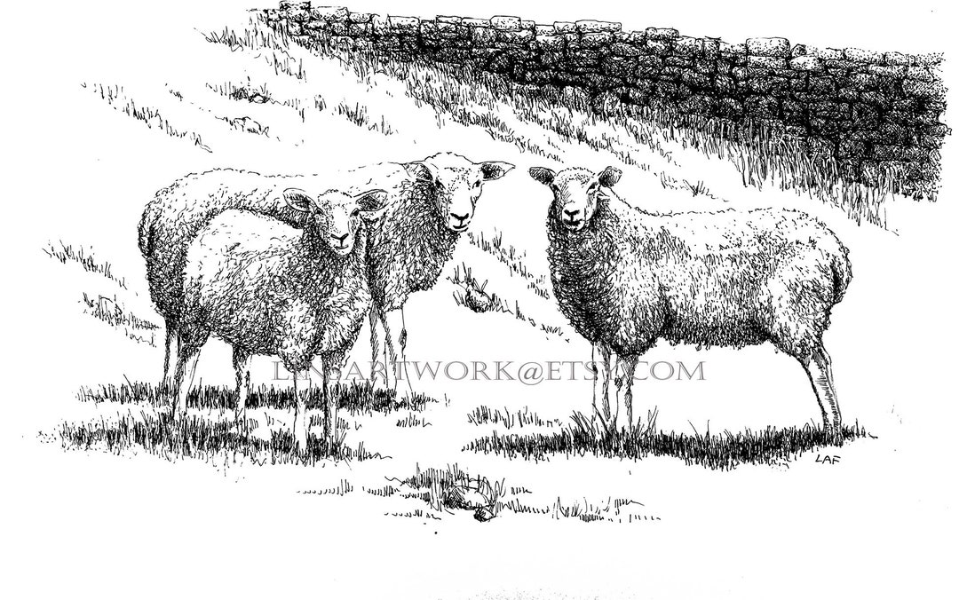 Downloadable Sheep Print , 3 Sheep Print,pen and Ink Digital Prints ...