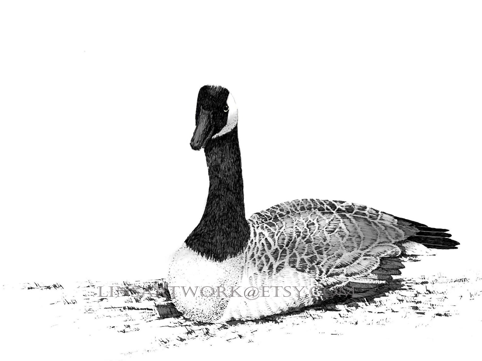 Downloadable Canada Goose Print , Bird Print,pen and Ink Digital Prints ...