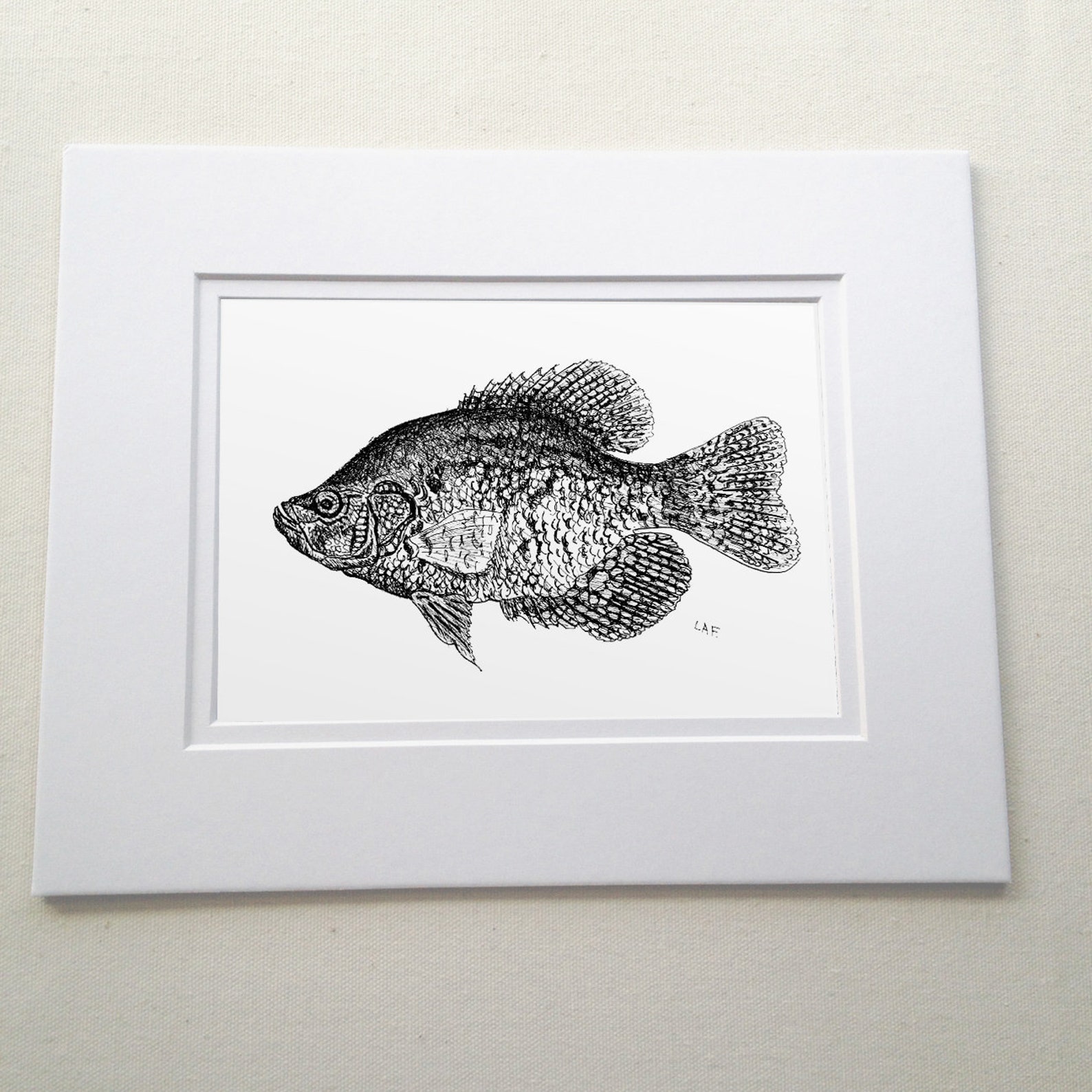 Original Black Crappie Print of Drawing,fish Art,fish Drawings,tropical ...