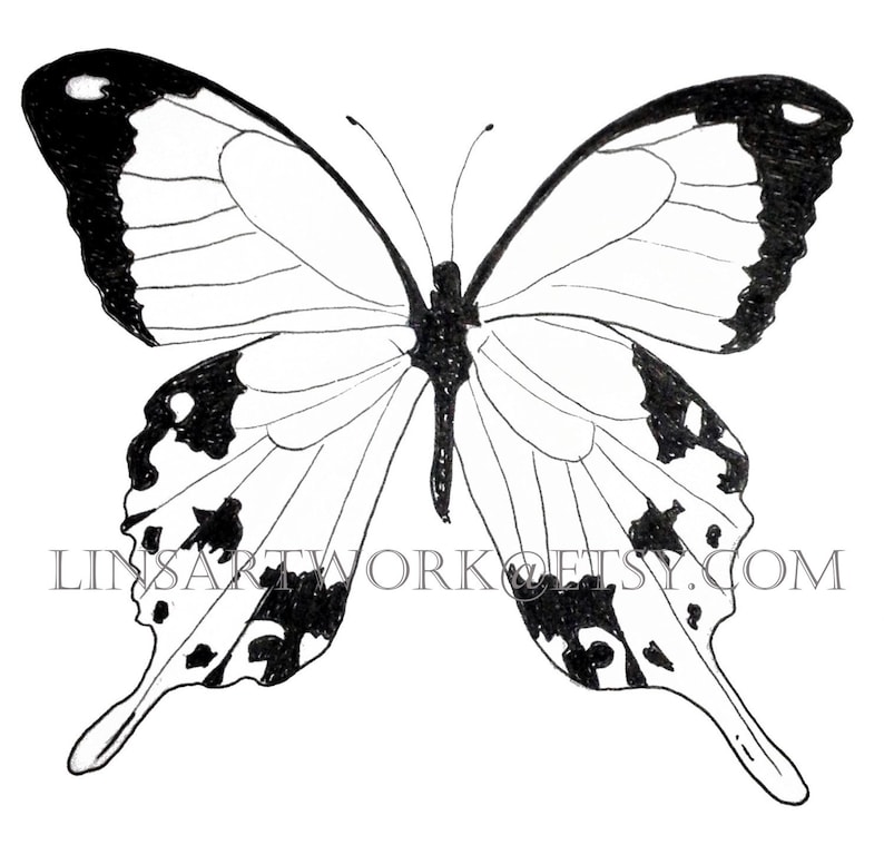 Black White Swallowtail Butterfly Art,downloadable Print,pen and Ink ...