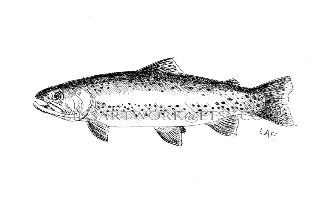 Downloadable Trout Fish Print, Trout Print,pen and Ink Drawing of a ...