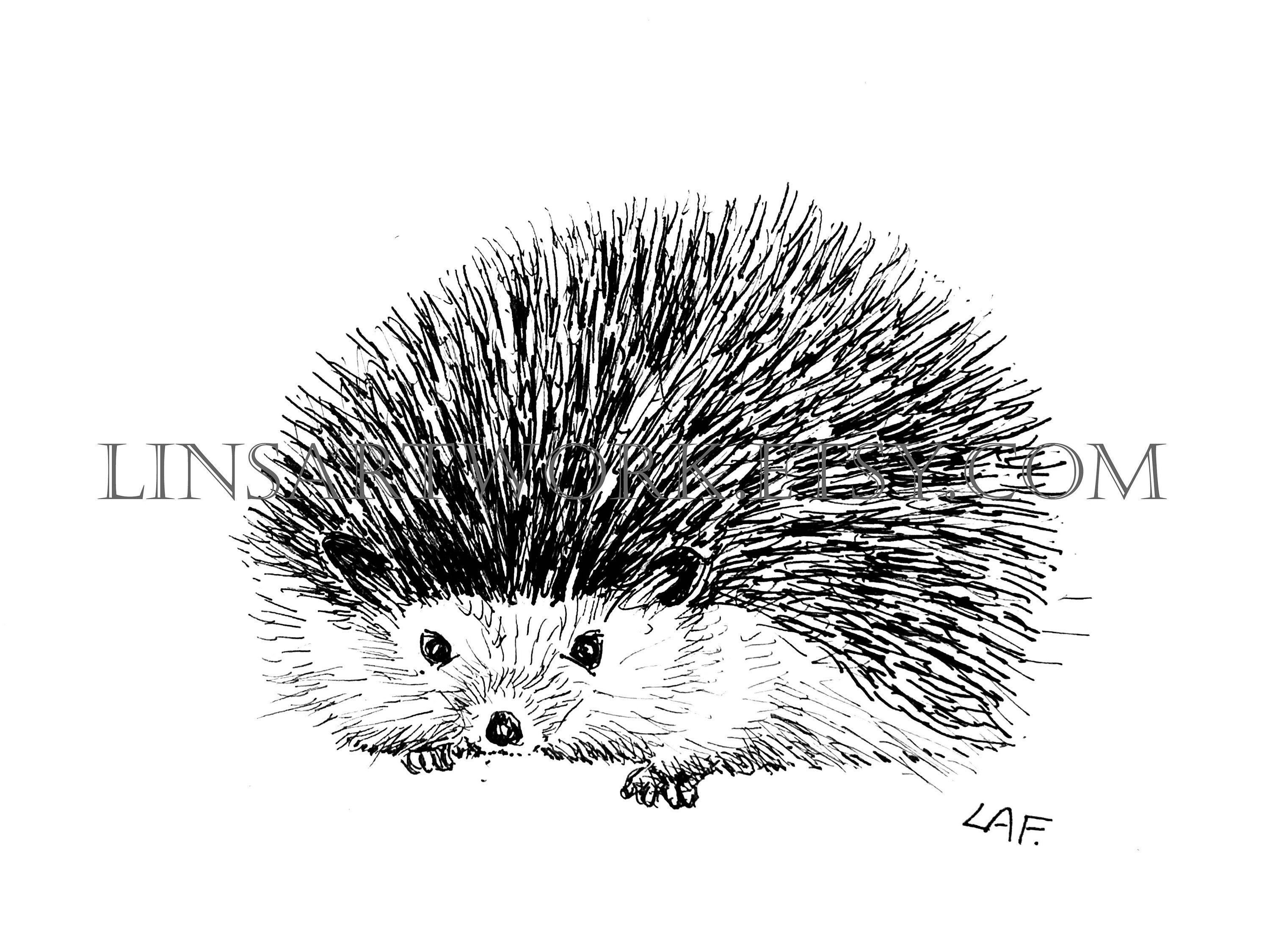 Downloadable Hedgehog Print, Pen and Ink Drawing of a Hedgehog, Black ...