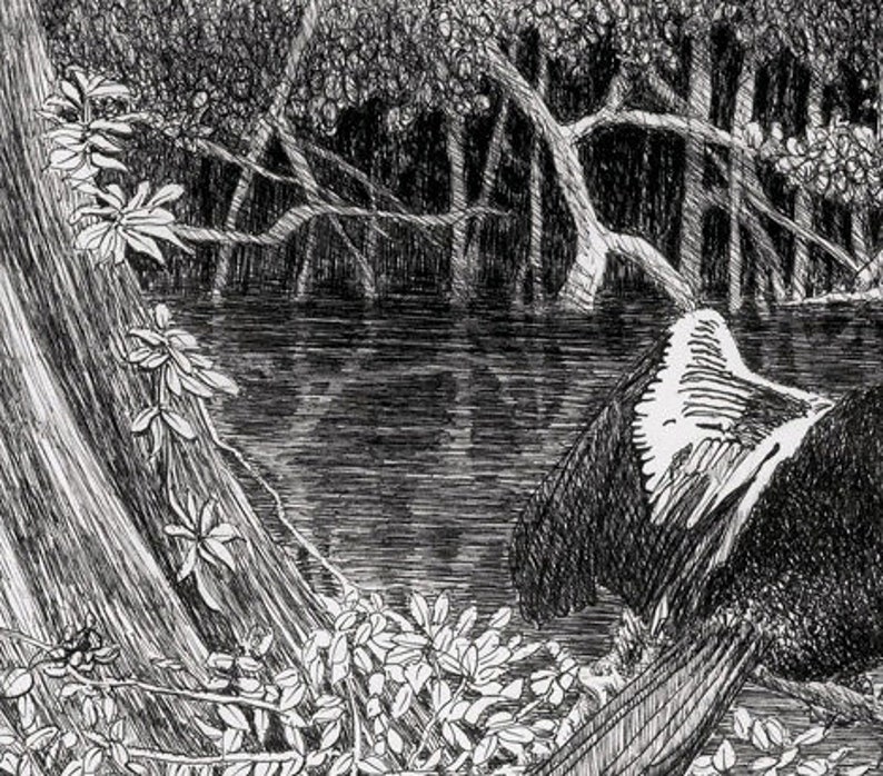 Original Anhinga Bird Drawing,everglade Art,pen Ink Drawing,tropical ...