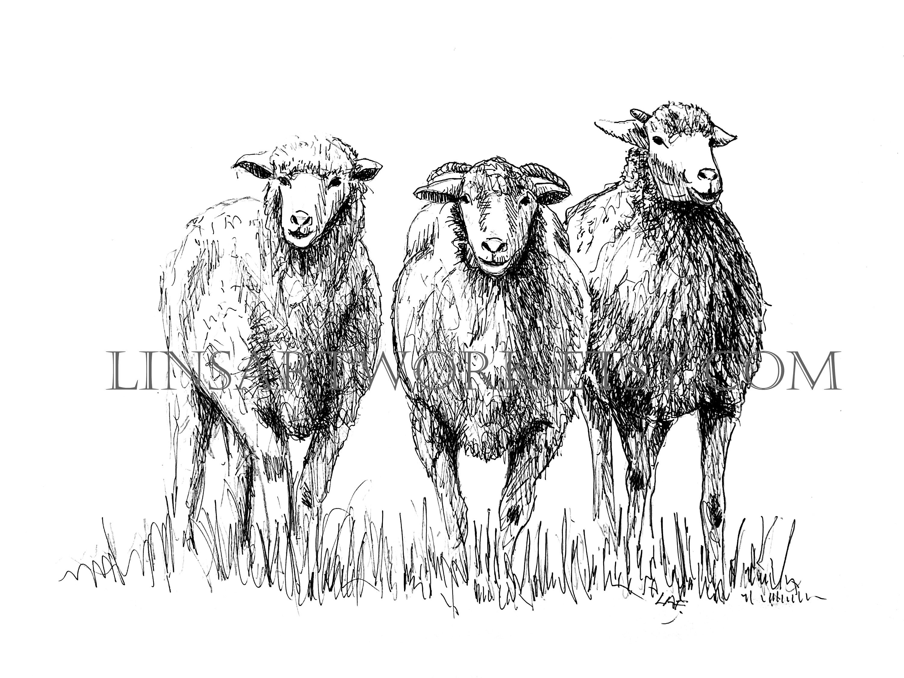 Downloadable 3 Sheep Print , Sheep Print, Pen and Ink Digital Prints ...