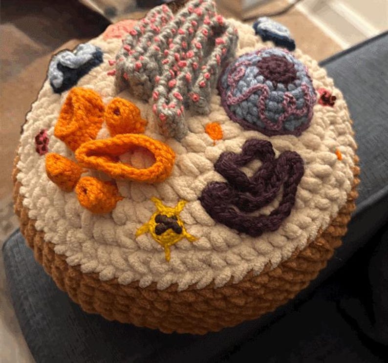 Crochet Animal Cell With Organelles | Amigurumi | Eukaryotic Cell ...
