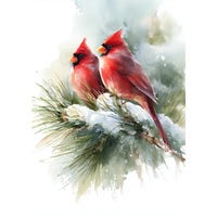 Christmas Red Cardinal Clipart Bundle Winter Bird JPG Red Cardinal Snow ...