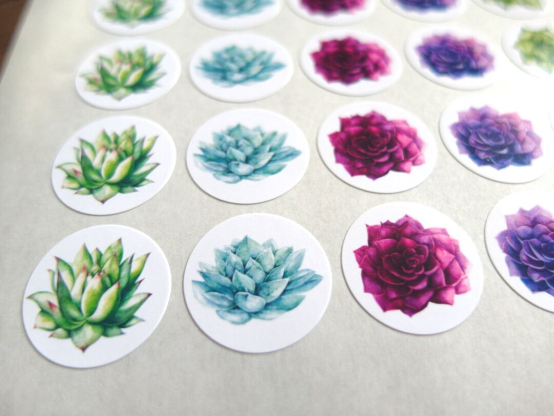Succulent Stickers - Made to Order - Etsy