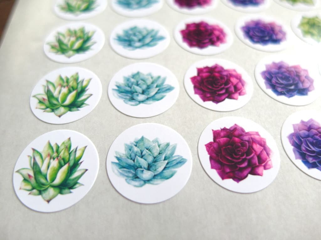 Succulent Stickers Made to Order - Etsy