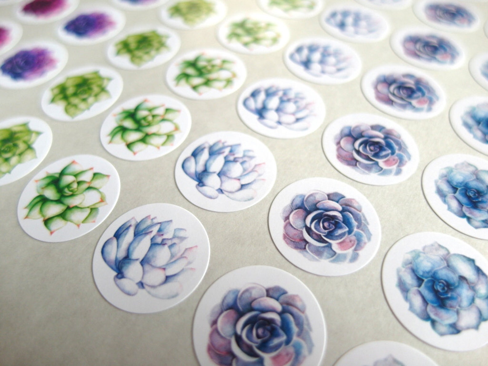Succulent Stickers Made to Order - Etsy