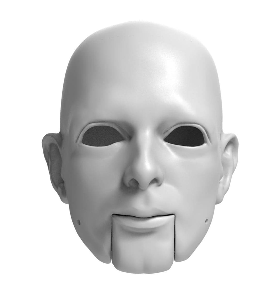 3D Model of Narrow-minded Man's Head for 3D Print - Etsy