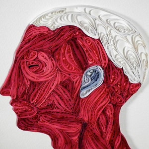 Quilled Neck and Head, Fine Art Anatomical Diagram, Framed Quilled Fine ...