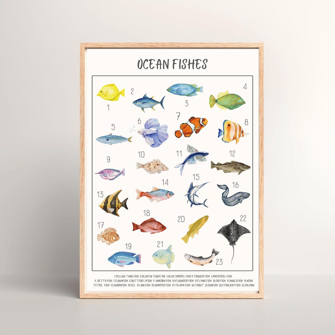 Watercolor Ocean Fishes Poster, Montessori Learning Materials ...