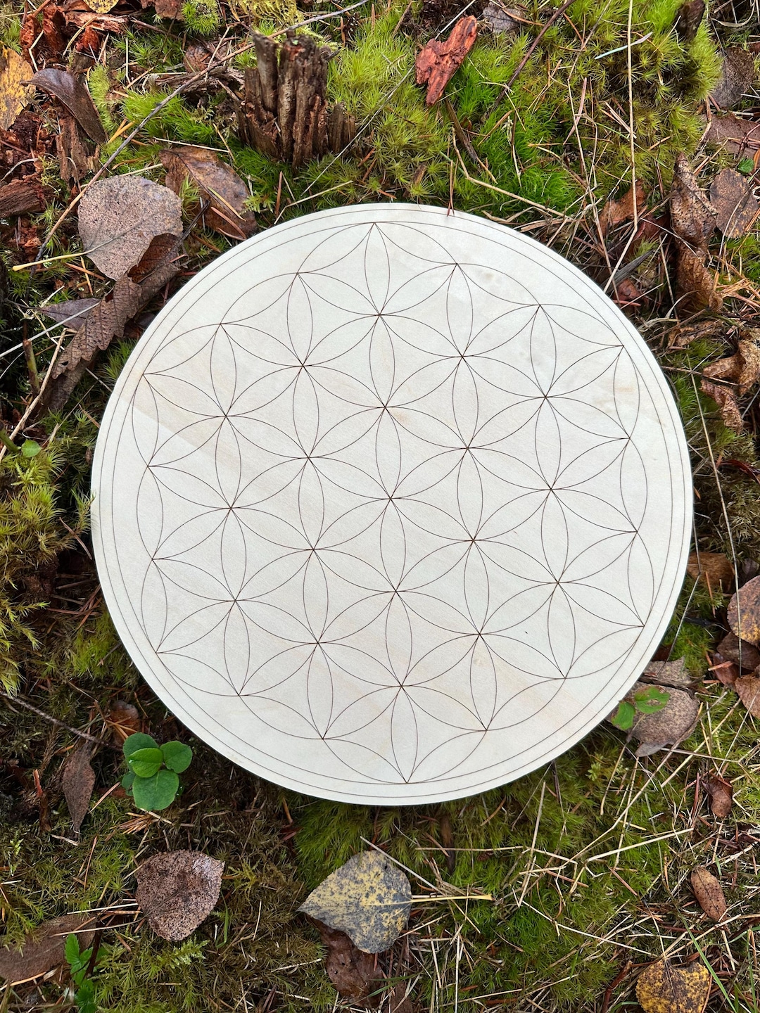 Flower of Life Crystal Grid — 12 Inch — Sacred Geometry — Engraved ...