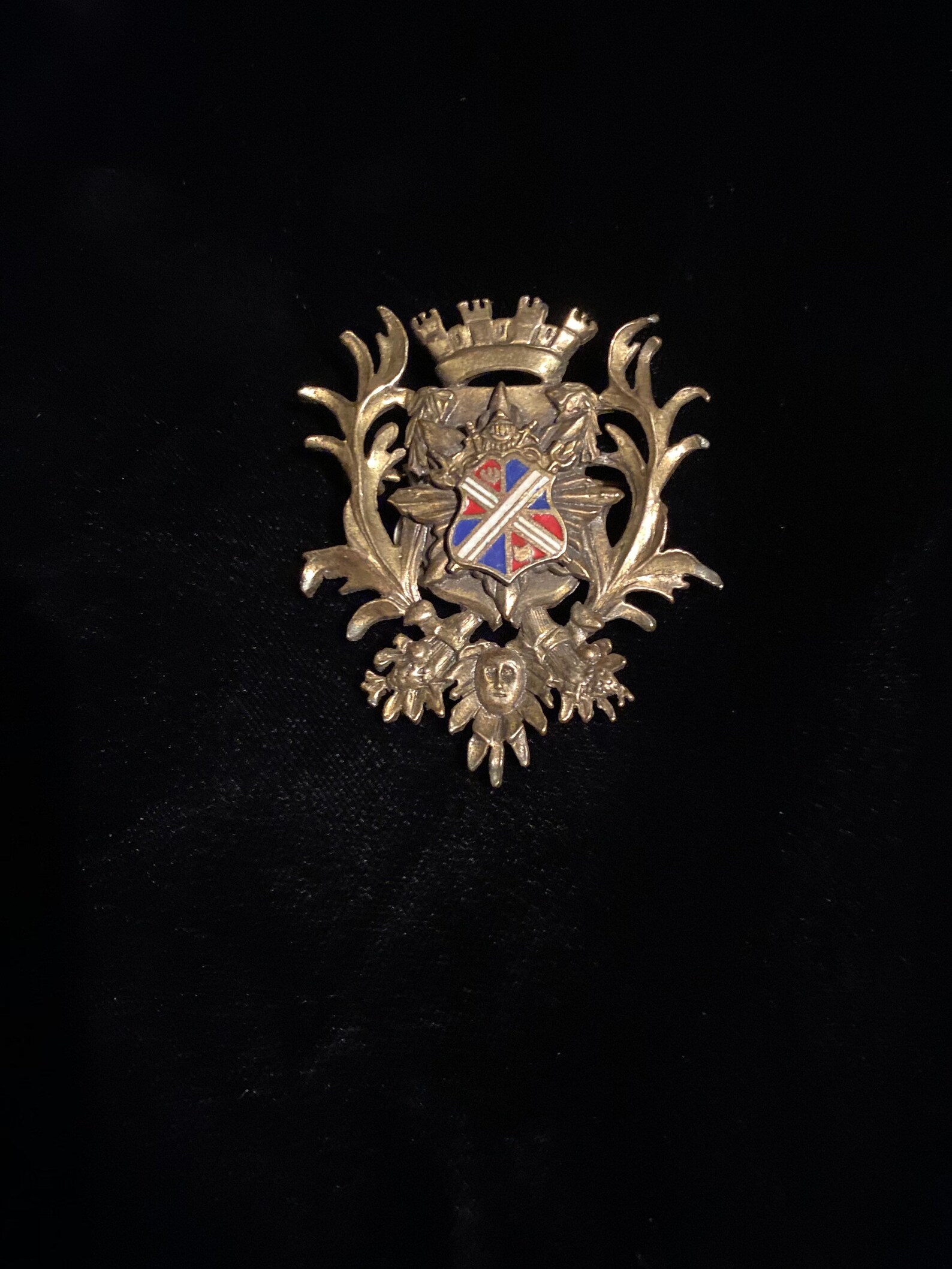 Antique Heraldic Crest Brooch Vintage Pin Curious Little Face at Gothic ...
