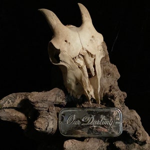 VINTAGE Age Worn SKULL With Teeth - so Precious! - Etsy