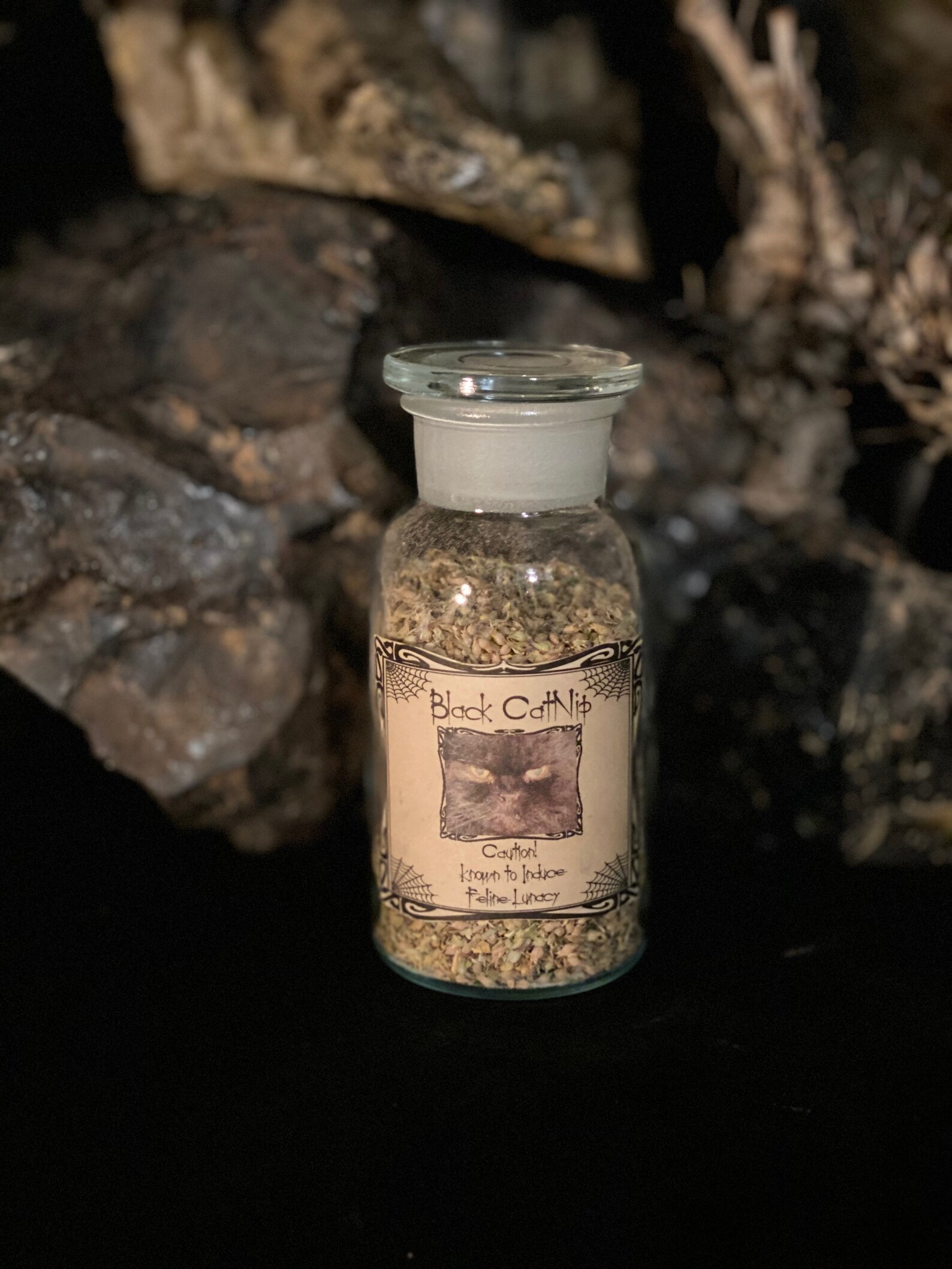 Antique Black Catnip Apothecary Jar Filled With Catnip Herb - Store ...