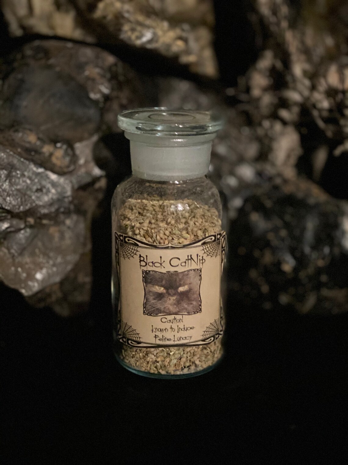 Antique Black Catnip Apothecary Jar Filled With Catnip Herb - Store ...