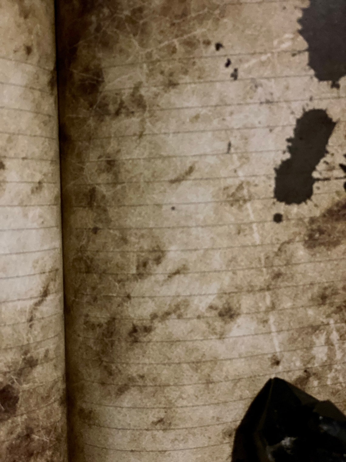 HAUNTING NIGHTMARE JOURNAL at Gothic Rose Antiques - Etsy