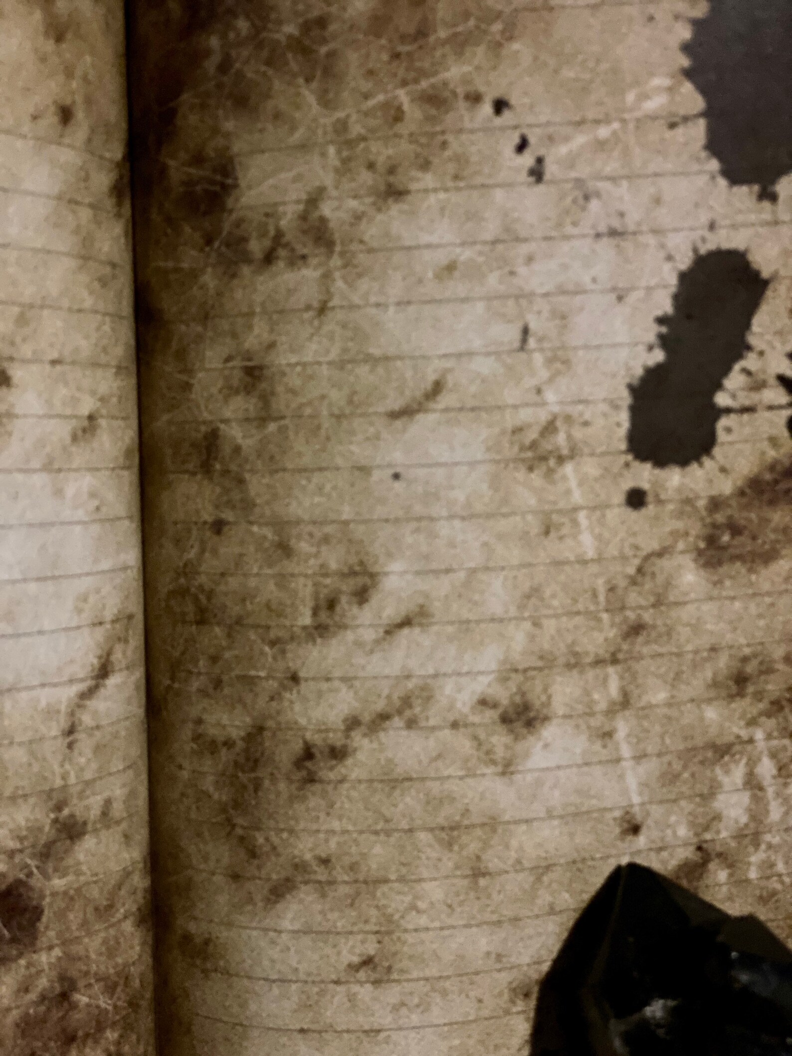 HAUNTING NIGHTMARE JOURNAL at Gothic Rose Antiques - Etsy