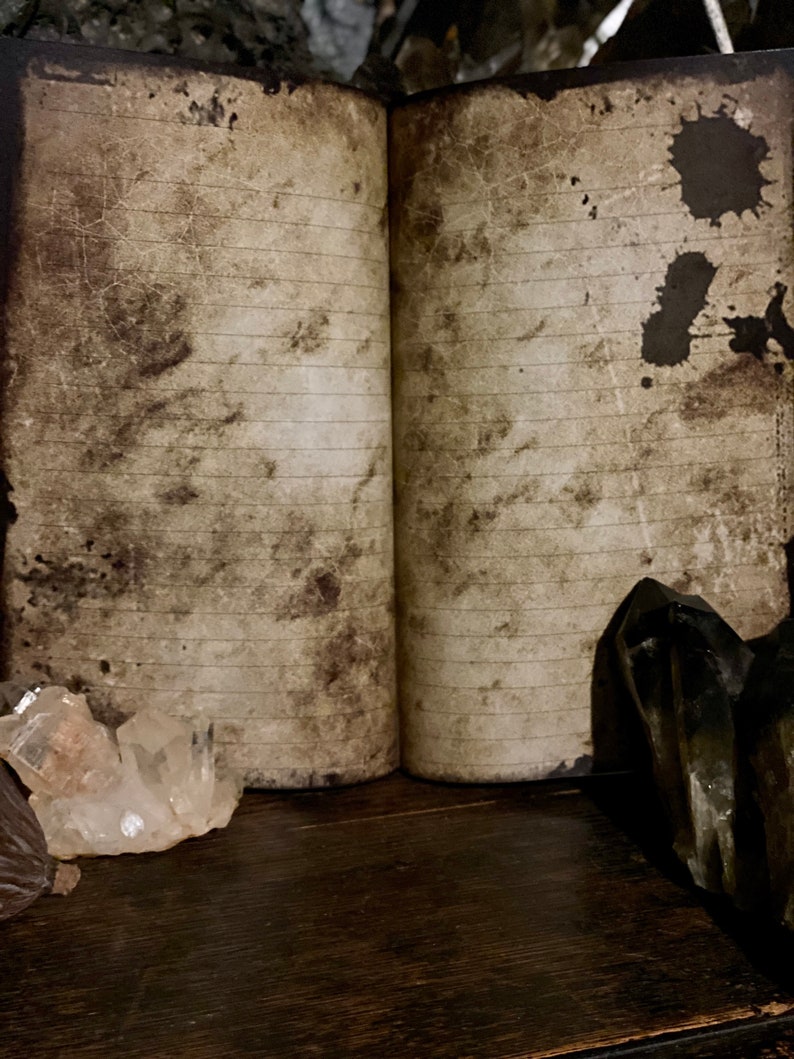 HAUNTING NIGHTMARE JOURNAL at Gothic Rose Antiques - Etsy