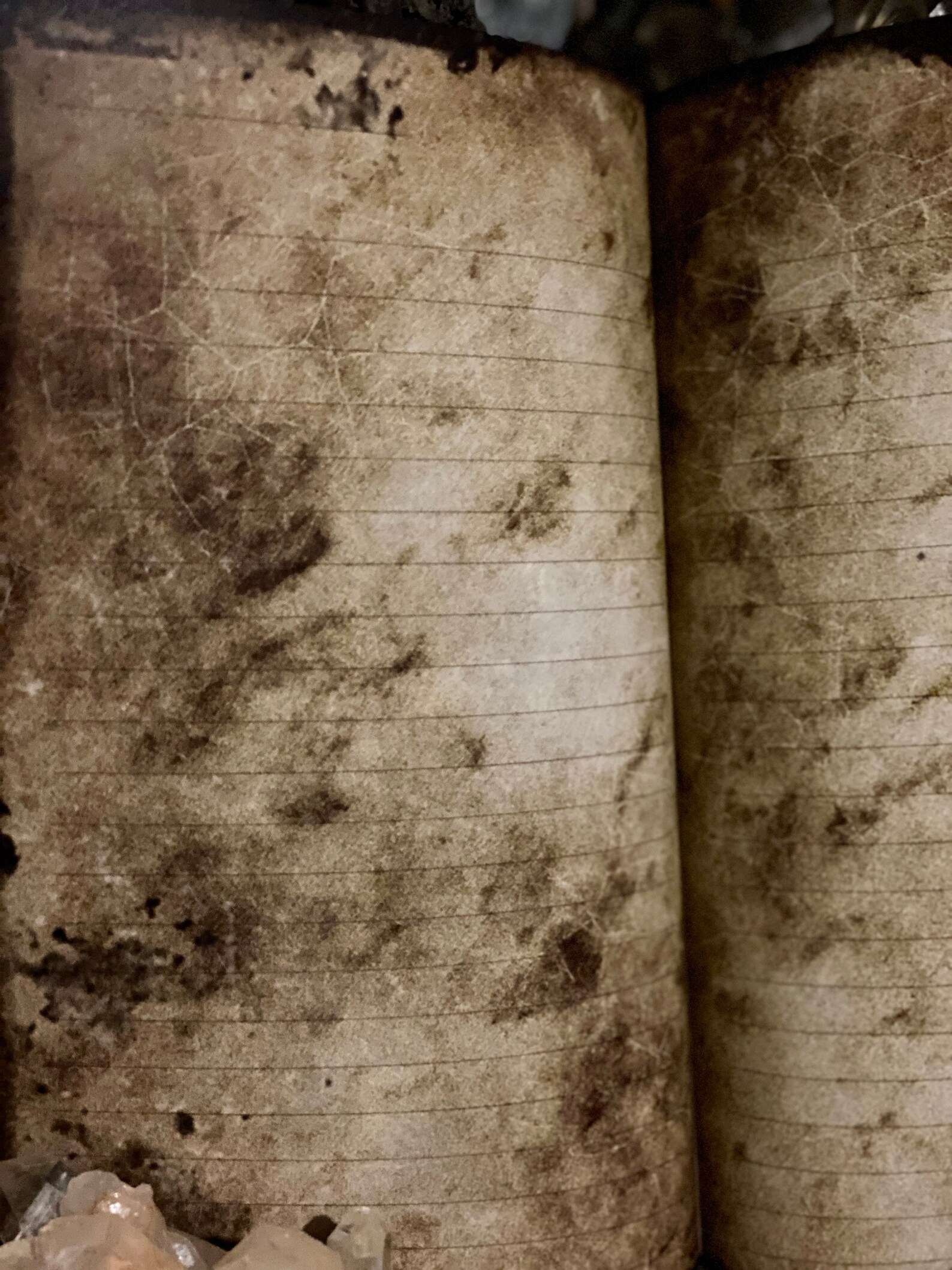 HAUNTING NIGHTMARE JOURNAL at Gothic Rose Antiques - Etsy