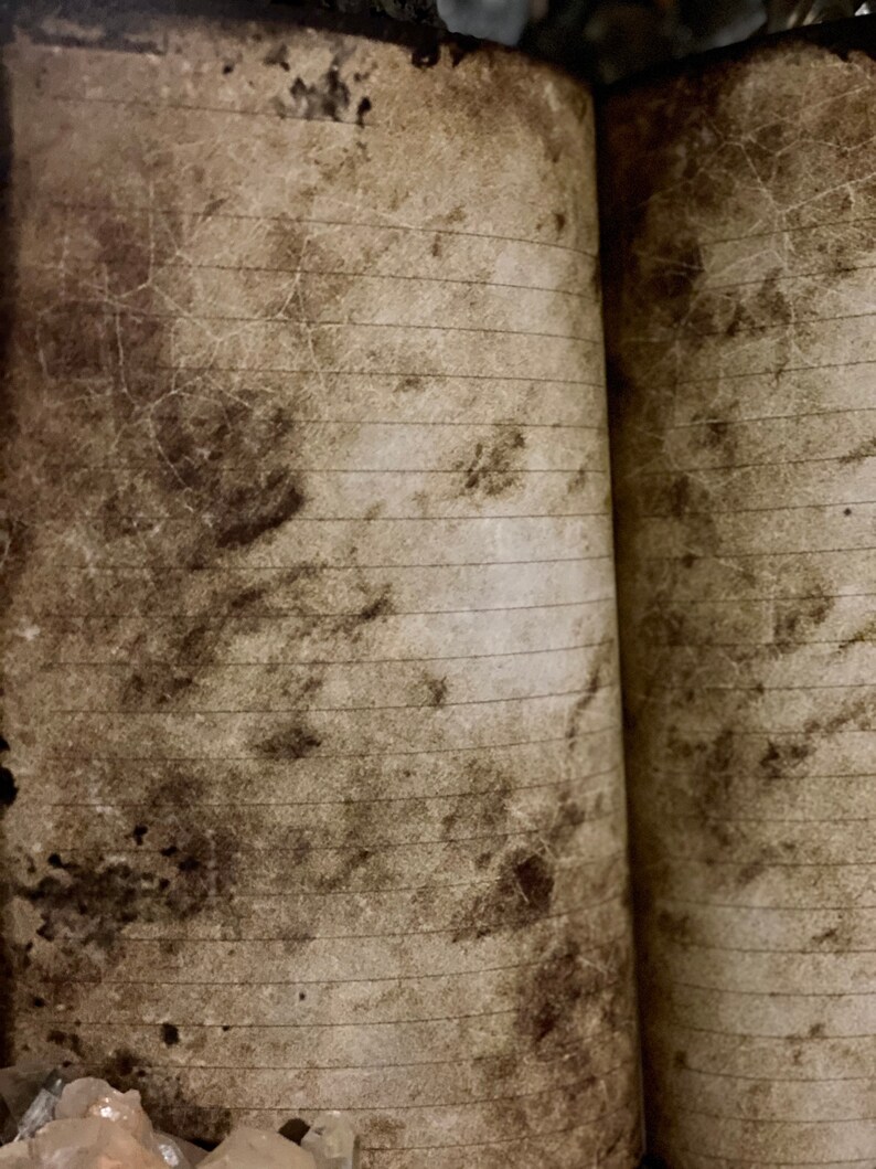 HAUNTING NIGHTMARE JOURNAL at Gothic Rose Antiques | Etsy