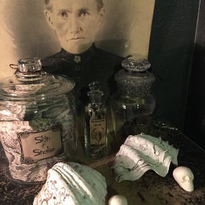 Natural Large Shells Vintage Beach Cottage Decor 33 Dollars Each at ...