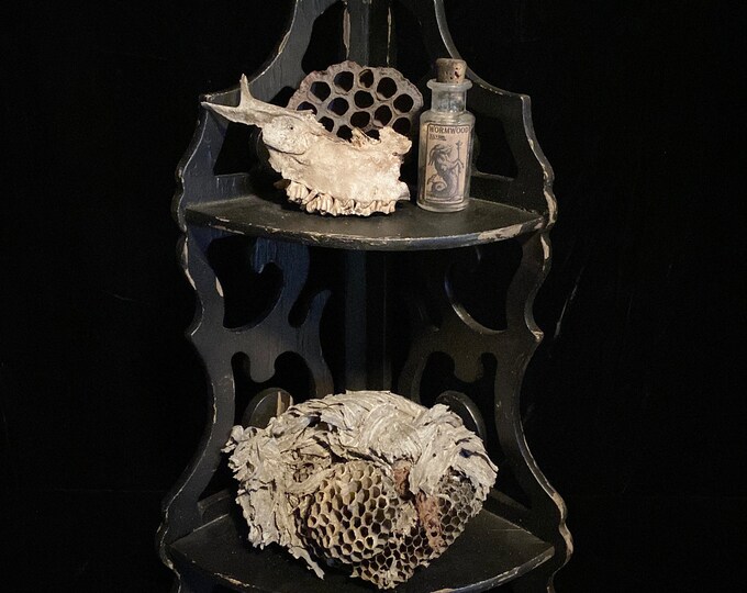 Curious Vintage SHABBY CHIC Corner SHELF With Natural Found Objects Out ...