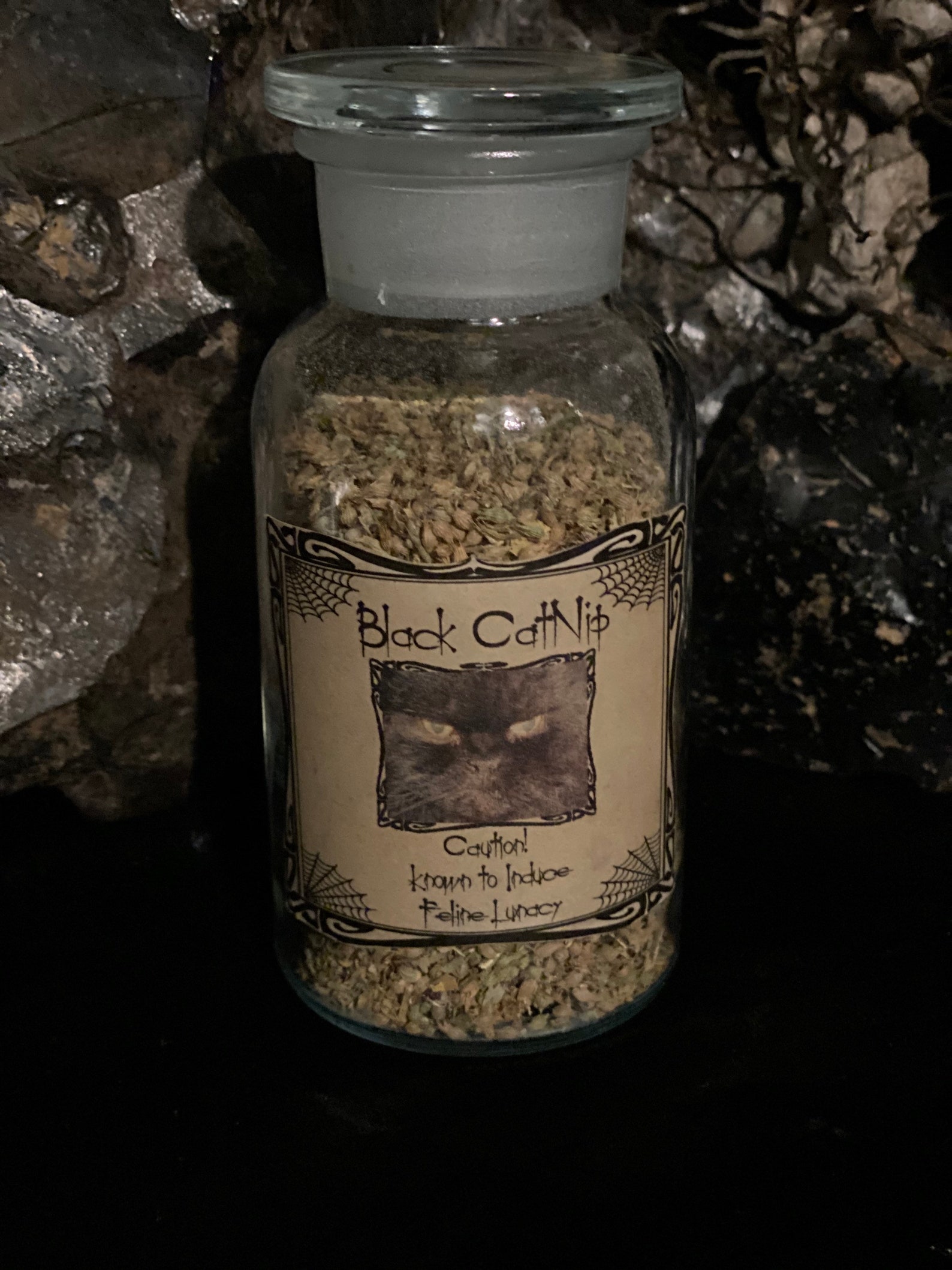 Antique Black Catnip Apothecary Jar Filled With Catnip Herb - Store ...