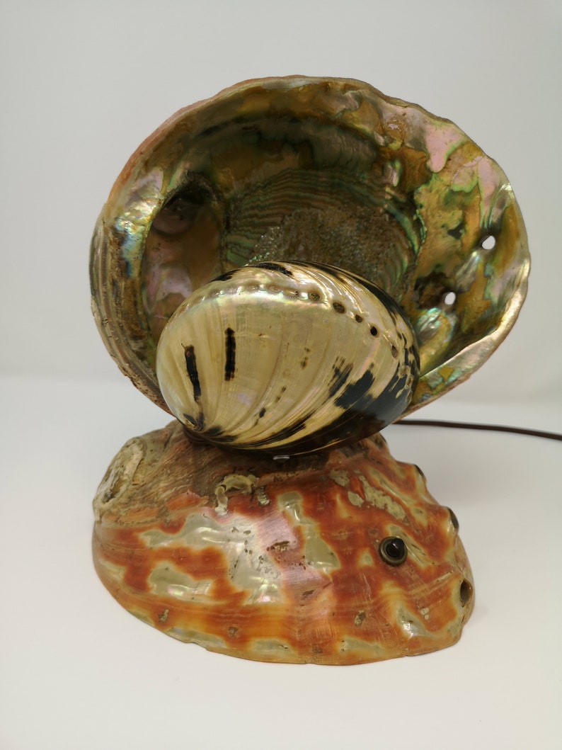 Vintage Retro Abalone Shell Leviton Lamp | Etsy
