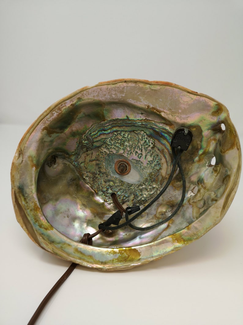 Vintage Retro Abalone Shell Leviton Lamp | Etsy