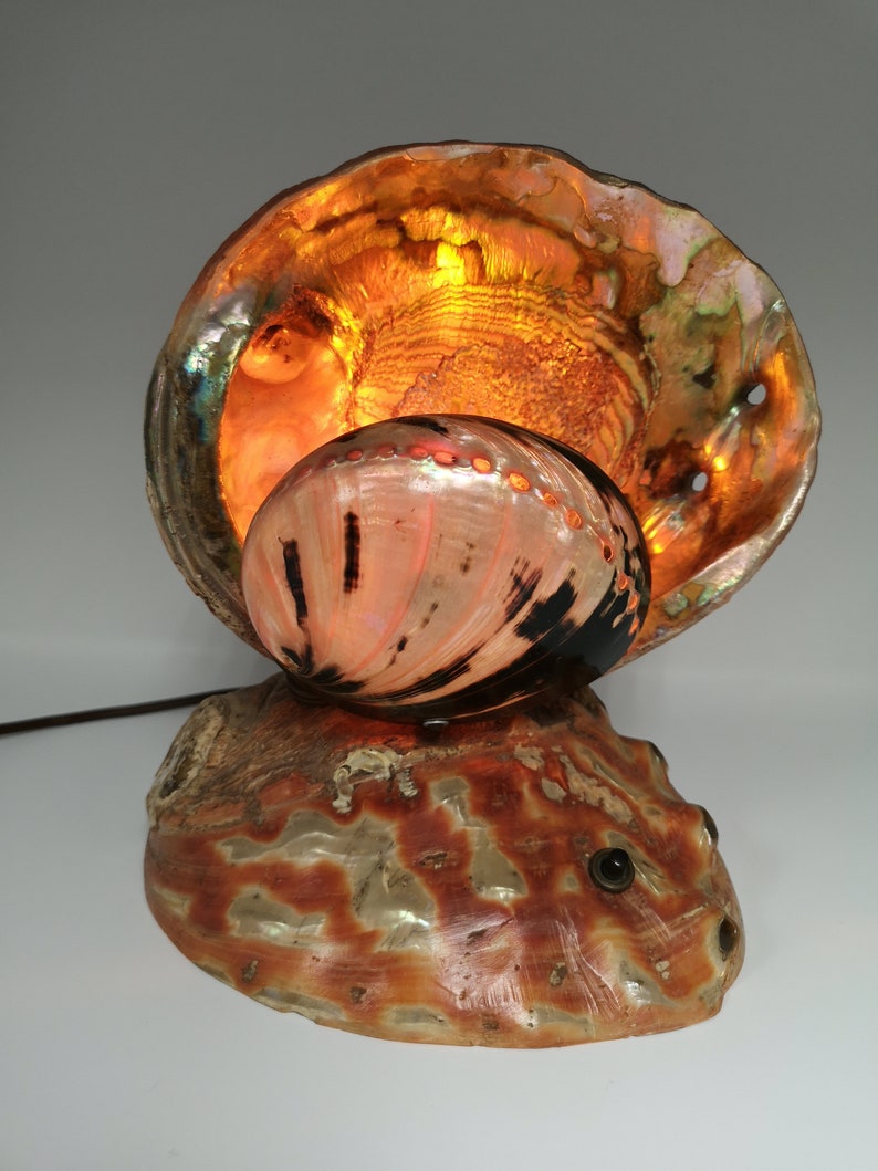 Vintage Retro Abalone Shell Leviton Lamp | Etsy