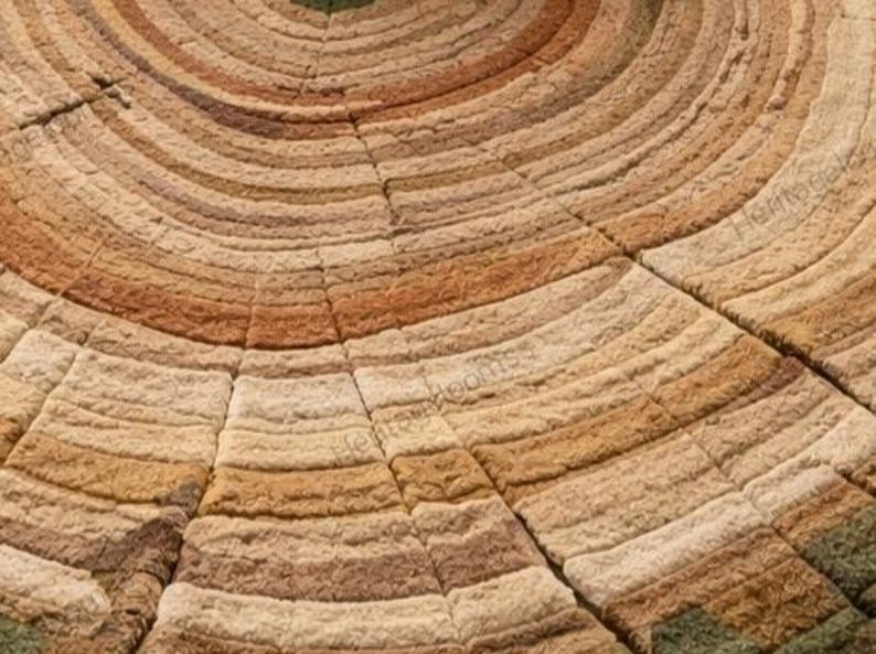 Hand Tufted Tree Ring Rug – Nature Inspired Round Area Rug – Woodland ...