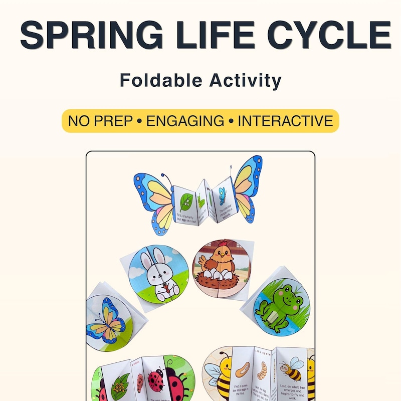 Spring Life Cycles - Etsy