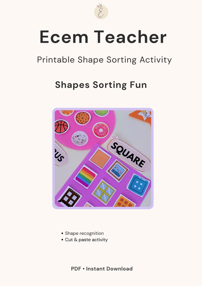 Shapes Sorting Fun Activity - Etsy