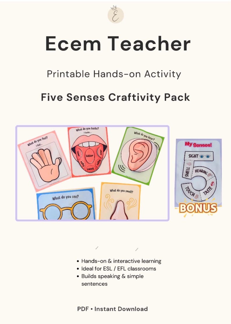 5 Senses Interaktives Aktivitätsset (druckbar) - Etsy.de