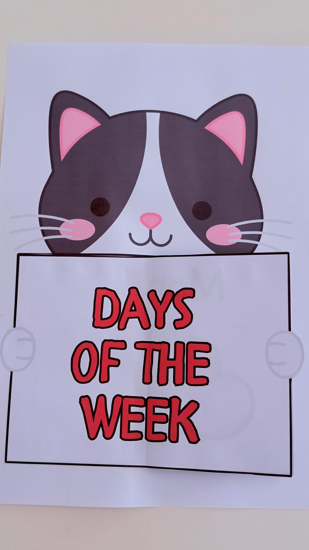 Days of the Week Flip Activity | Printable Cat-themed Learning Pack ...