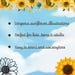 Sunflower Coloring Book: Floral Designs, Stress Relief (PDF Printable ...