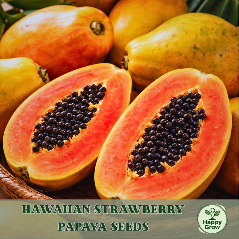 Hawaiian Solo Sunrise Strawberry Papaya Seeds – 30 Tropical Fruit Seeds ...