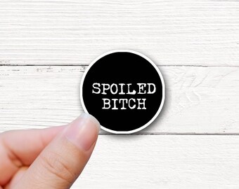 Waterproof Vinyl Water Bottle Tablet Sticker Ringmaster of the - Etsy