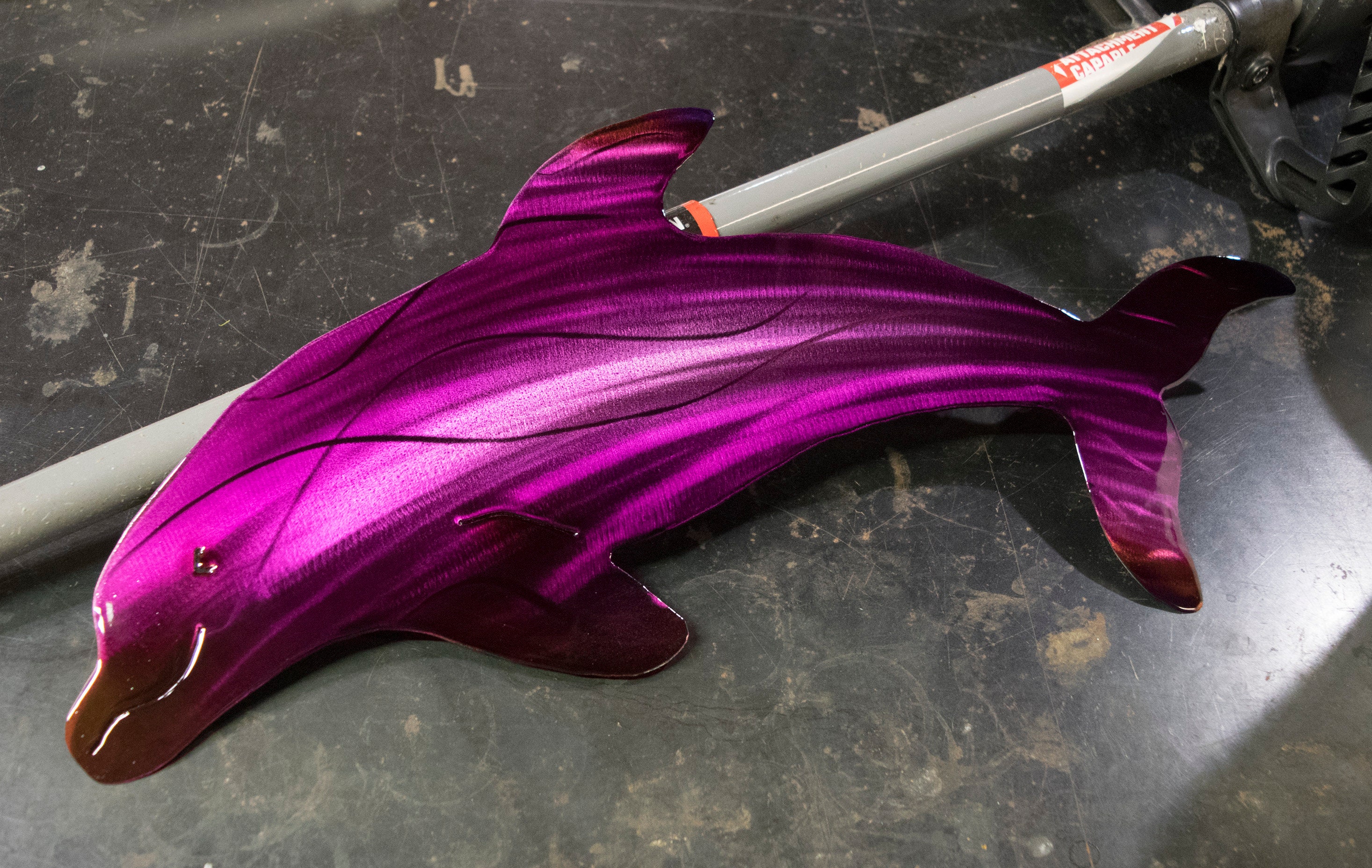 Purple Bottlenose Dolphins