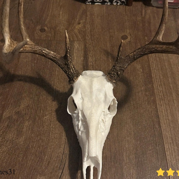 Deer Skull 3d Print Files - Etsy