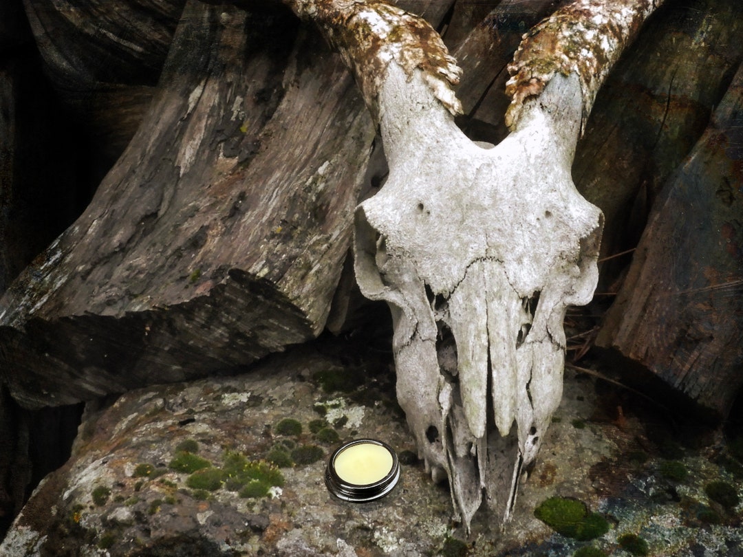 Solid Cologne - Breacan - Cologne Crème Jar - Ozone, Worn Leather ...