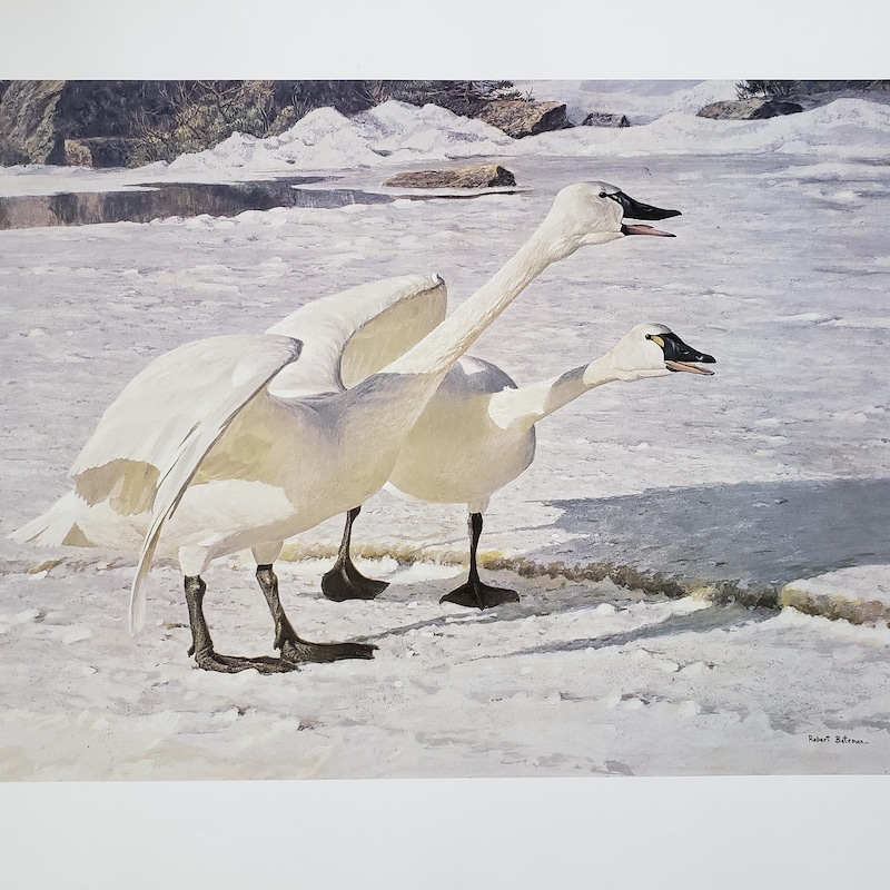 Swan Lakes Castle Tolbert 1984 Logo Ken - Etsy Canada